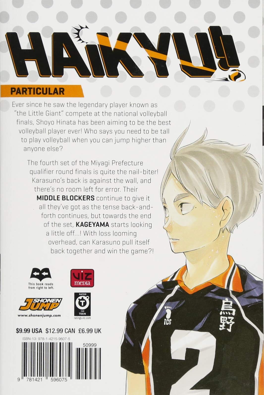 Haikyu!!, Vol. 20 - Haruichi Furudate