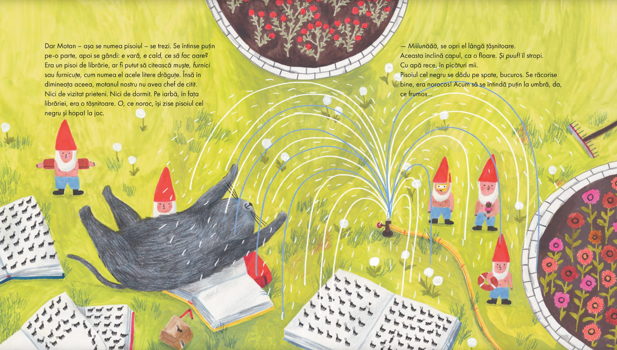 Dar motan inoata - Cristina Andone