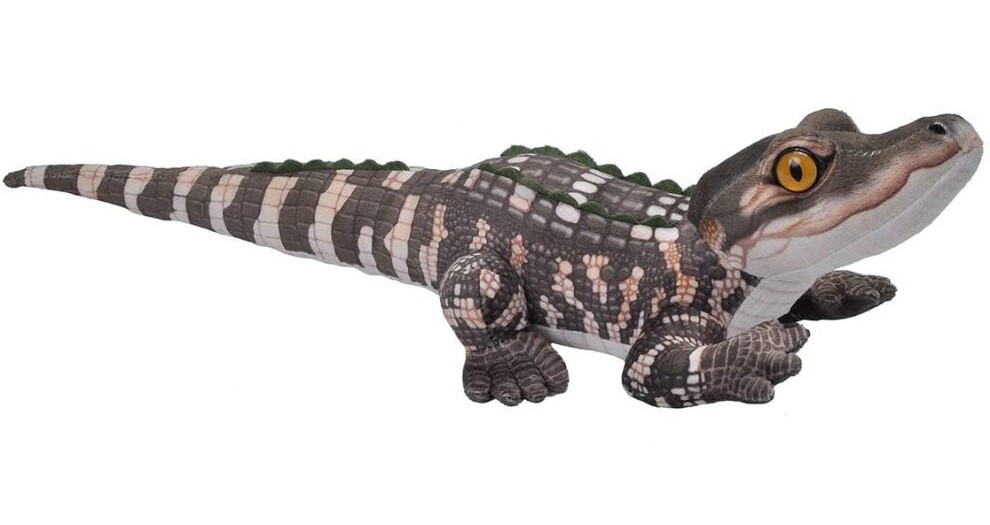 Jucarie de plus - Pui de aligator 30 cm - Wild Republic