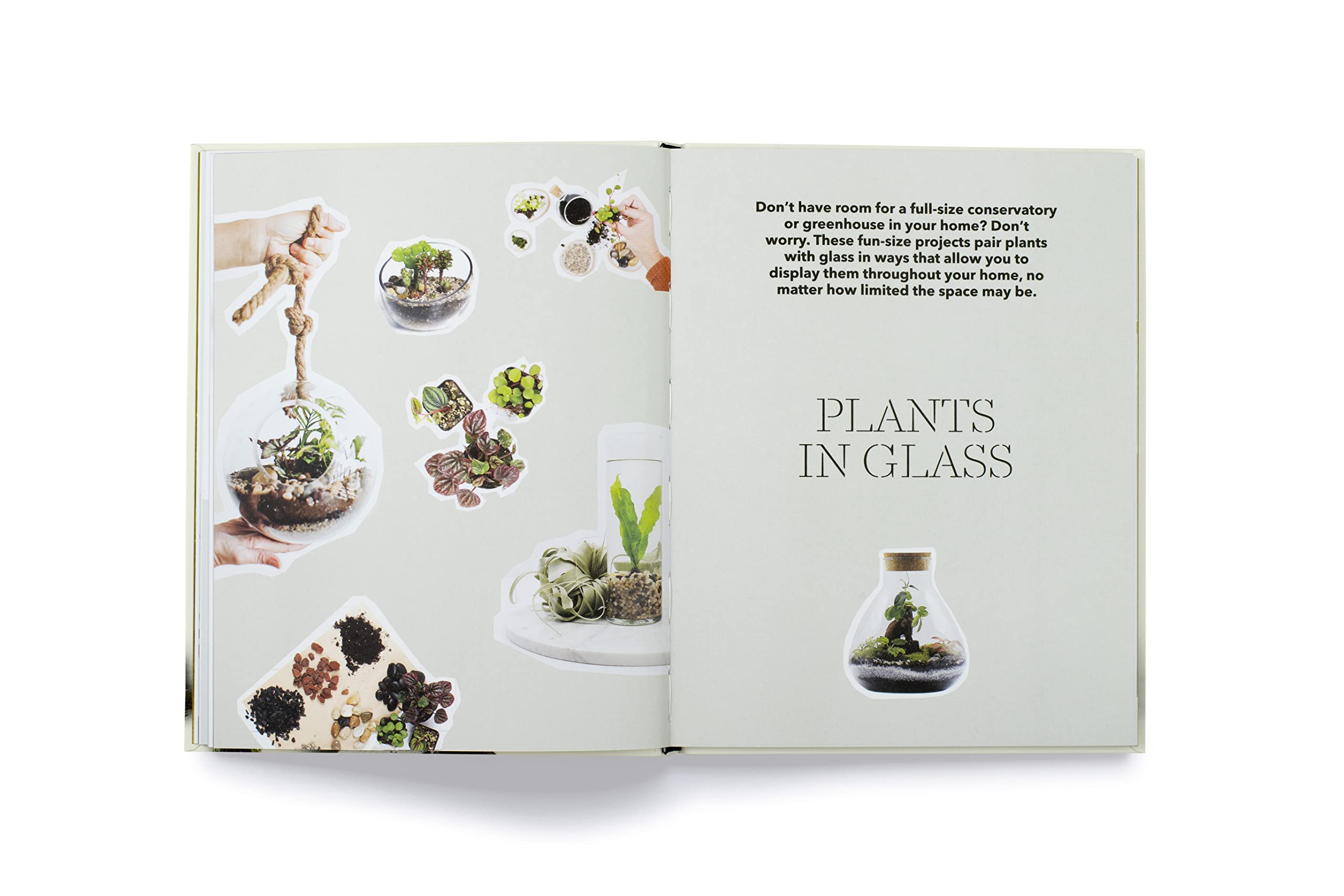 How to plant a room and grow a happy home - Helen Scales, Morgan Doane