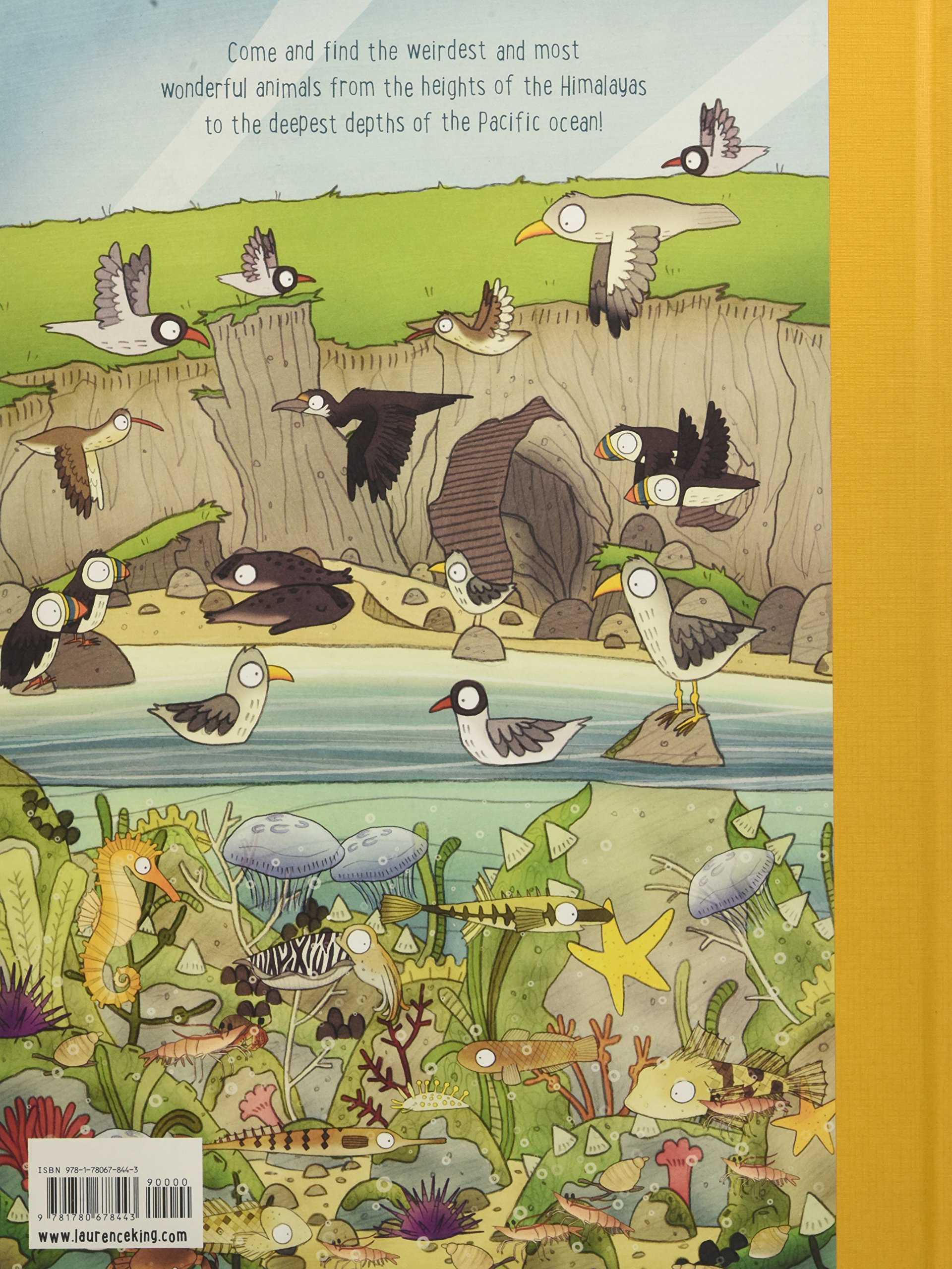 The amazing animal adventure - Brendan Kearney