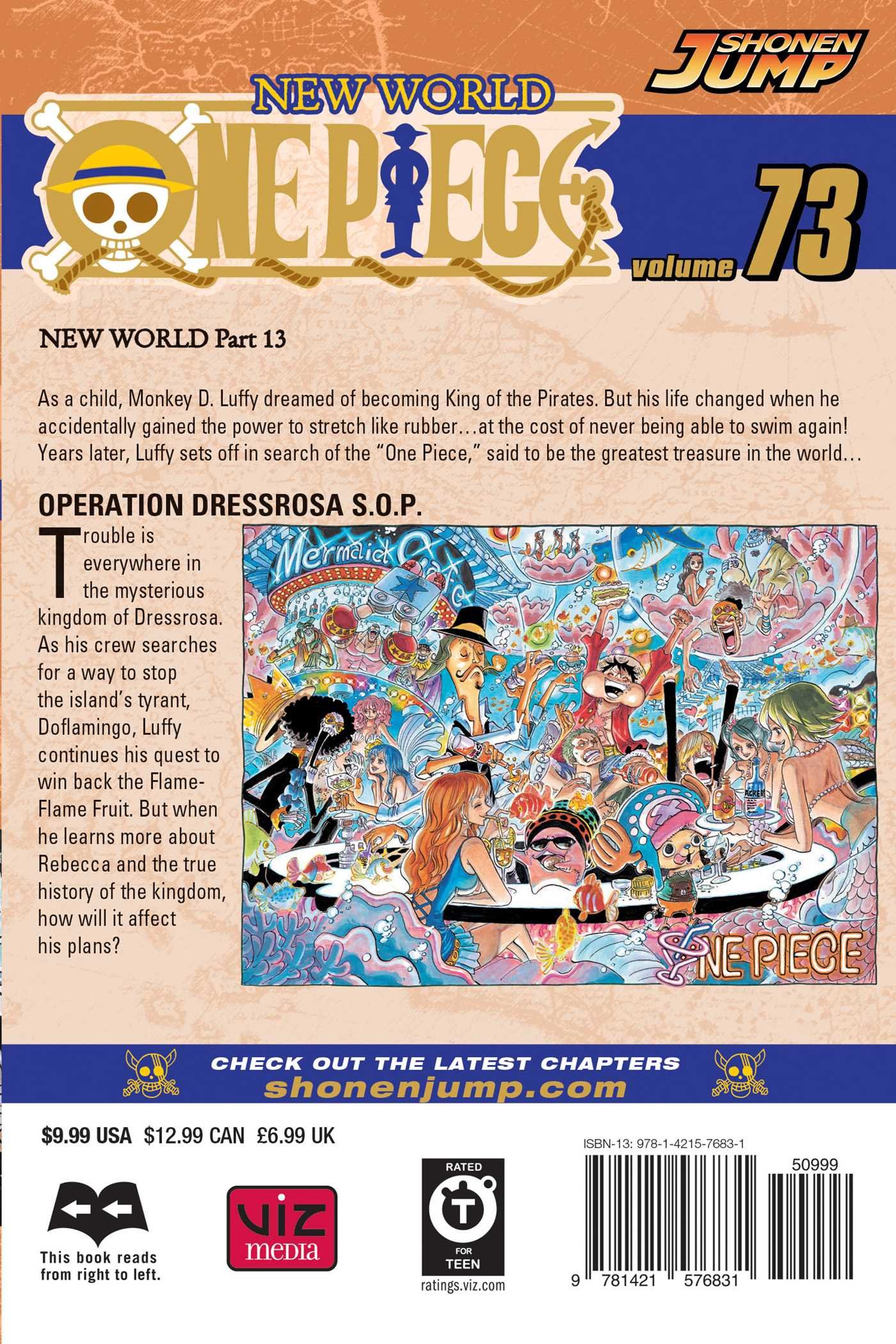 One Piece Vol. 73 - Eiichiro Oda