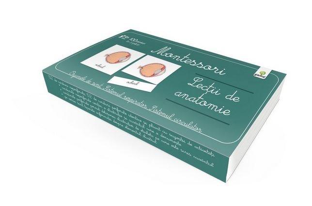 Lectii de anatomie. Organele de simt. Sistemul respirator. Sistemul ...