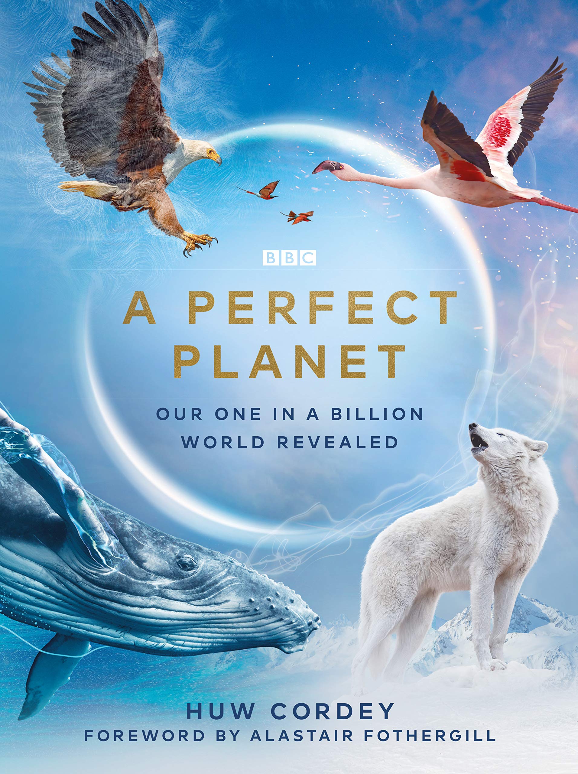 Perfect Planet - Huw Cordey